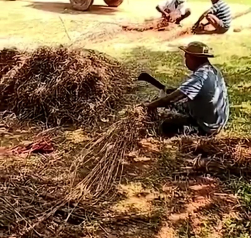 Thatch roof construction | Bhoomi Network
